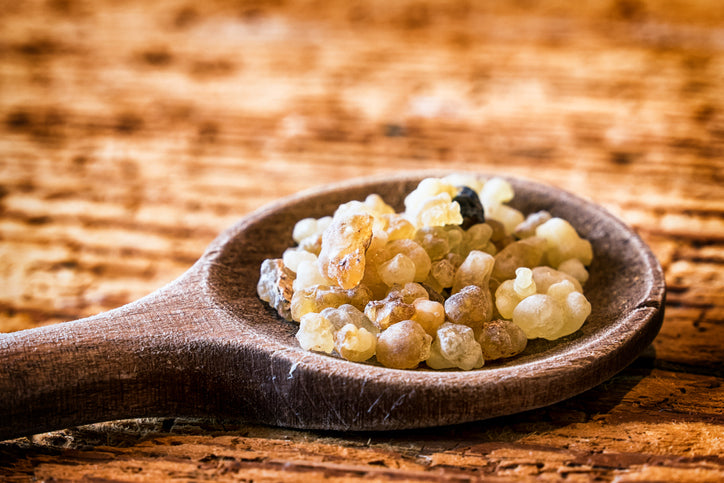 Resinous Essential Oils – Oleum Botanica
