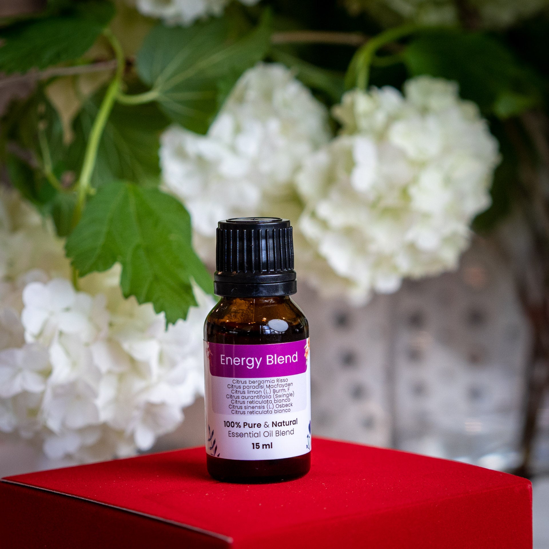 Energy Essential Oils - Energy Oil Blend | Oleum Botanica